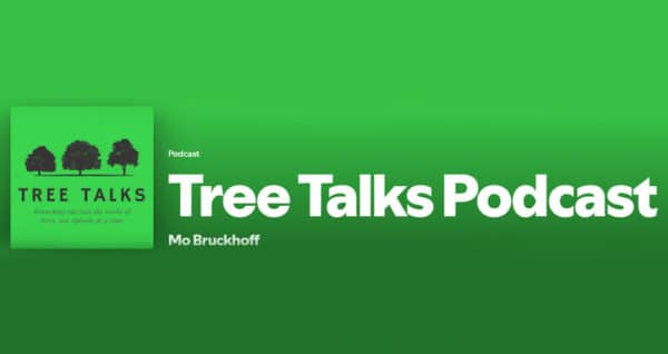 Arborist Report Sydney | Consulting Arborist | New Leaf Arboriculture